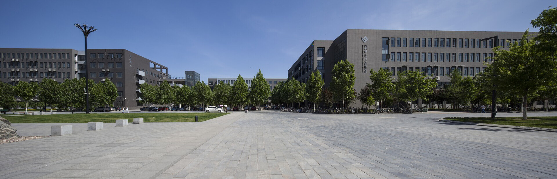 Page Examples - Demo Main